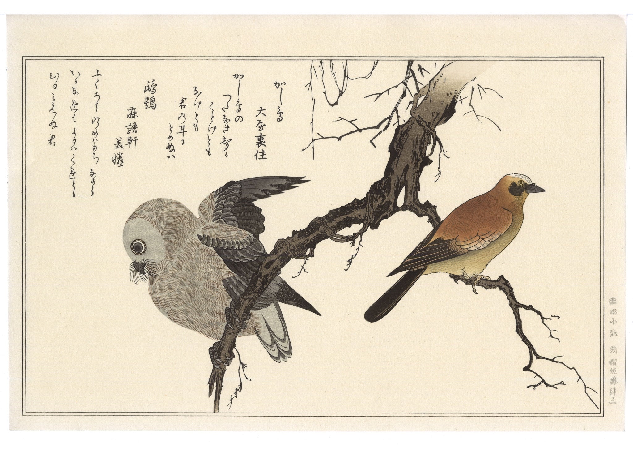 Estampes Japonaises Kacho-ga – Uchiwa Gallery